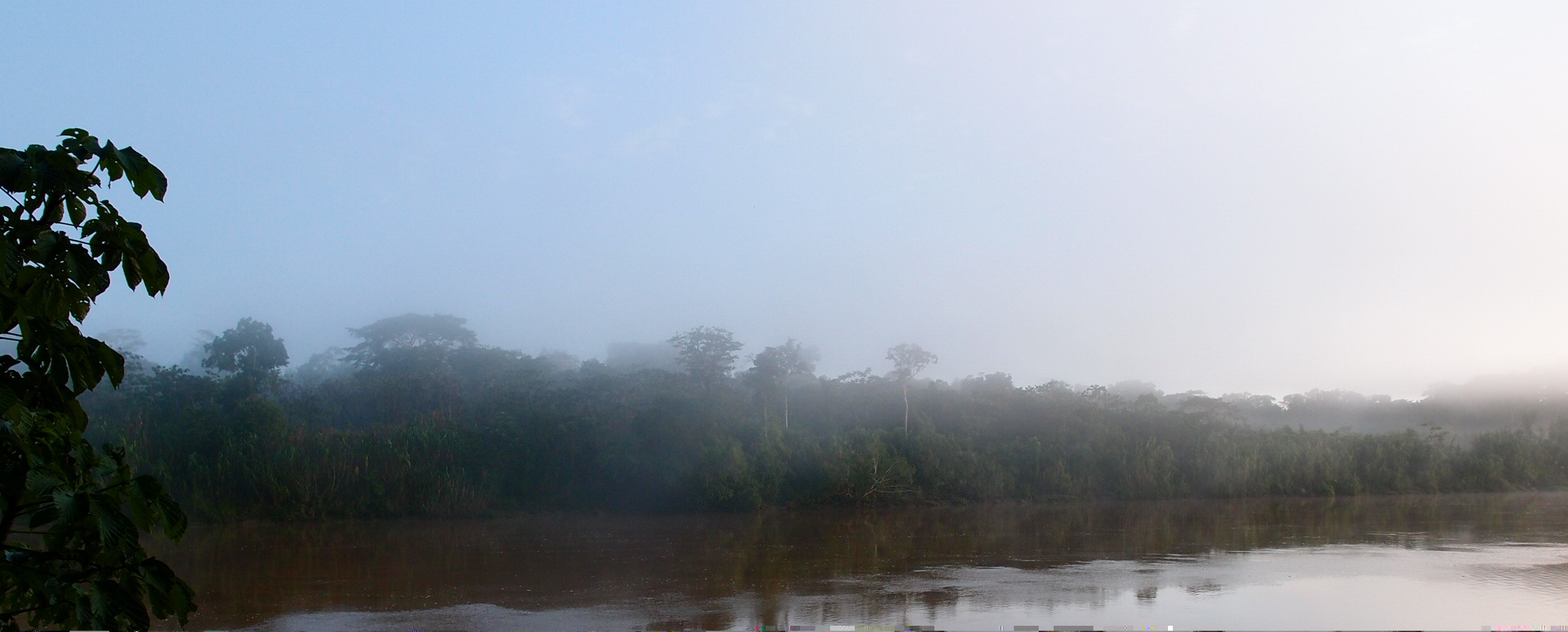 Spending 36 Hours In The Peruvian Amazon- Part II – Lingo in Transit