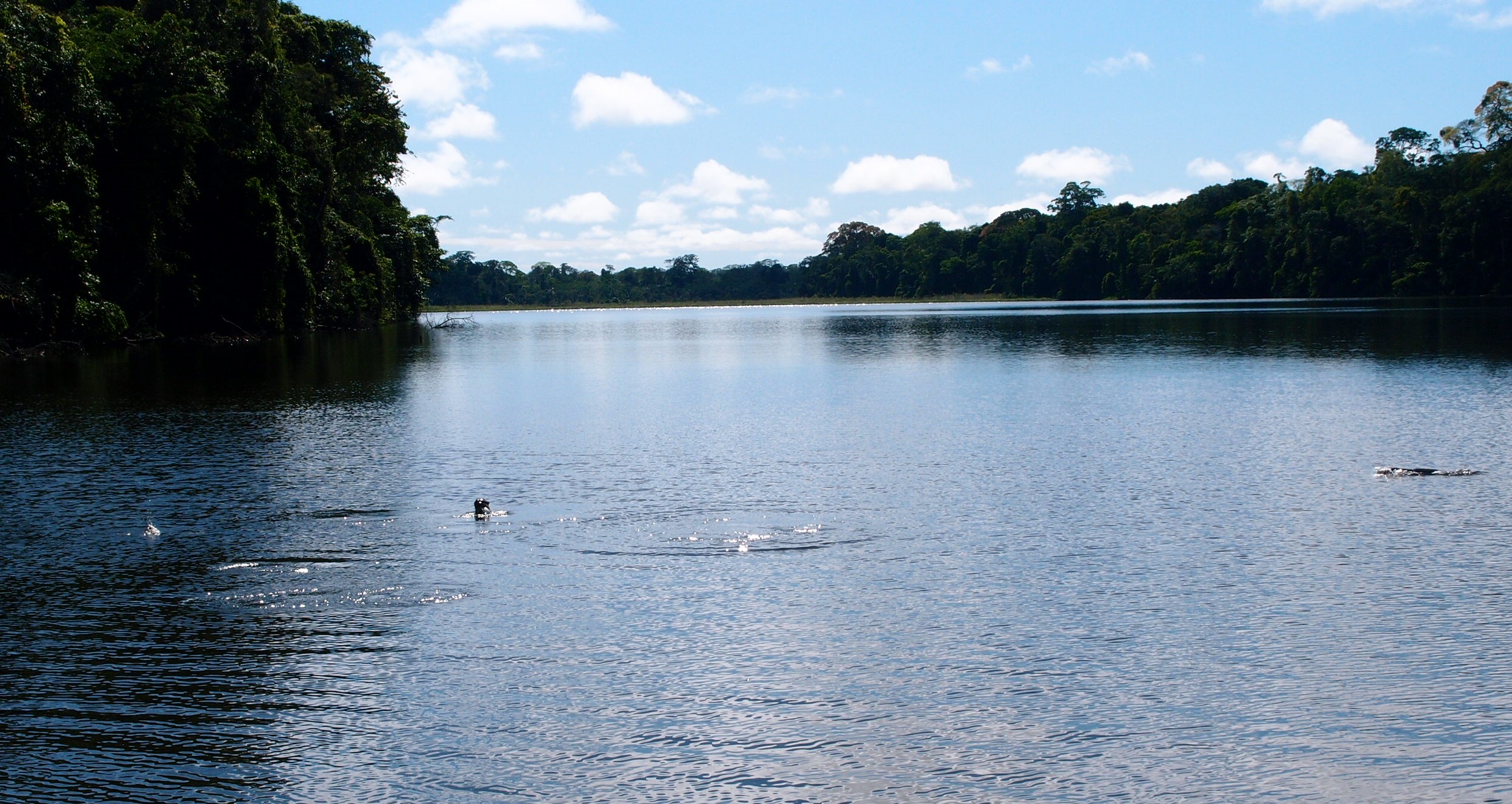 Spending 36 Hours In The Peruvian Amazon- Part II – Lingo in Transit