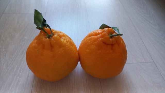 7 Fruits To Try in South Korea – Lingo in Transit